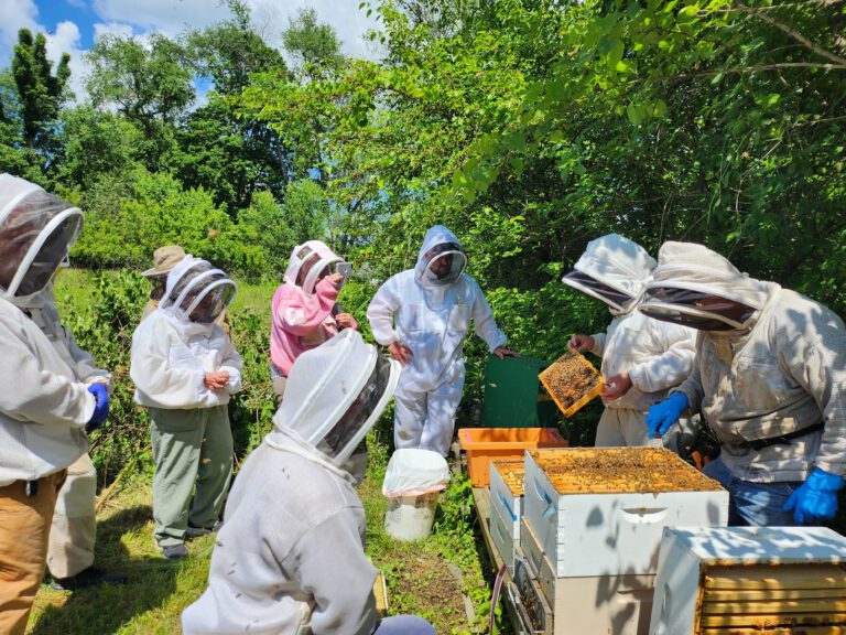 The Buzz About Swarms: Why Bees Leave the Hive - Oldham County ...